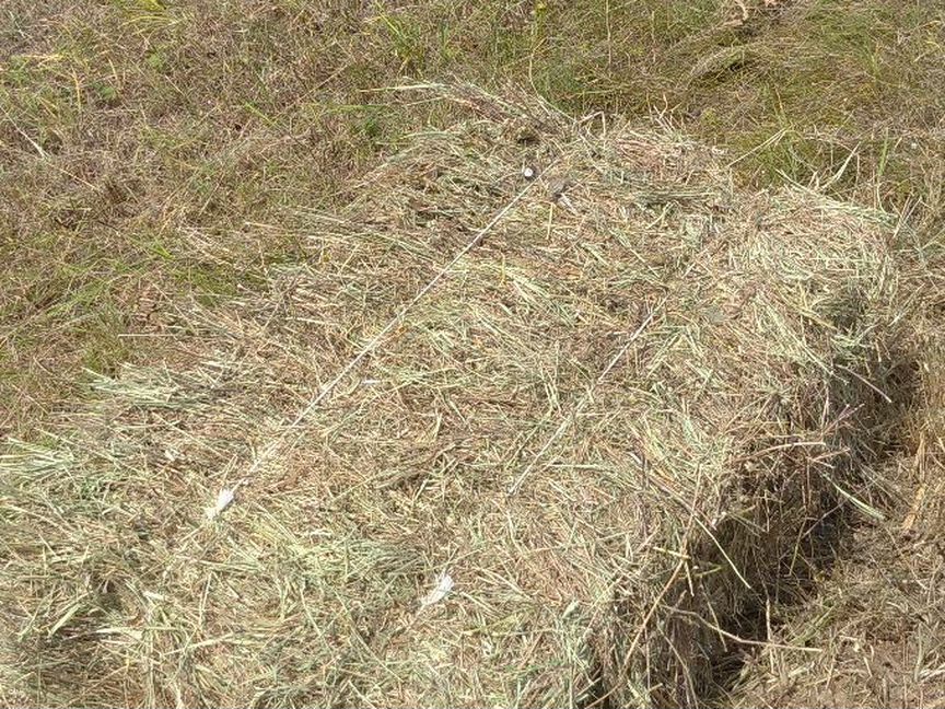 Продам сено и солому в рулонах