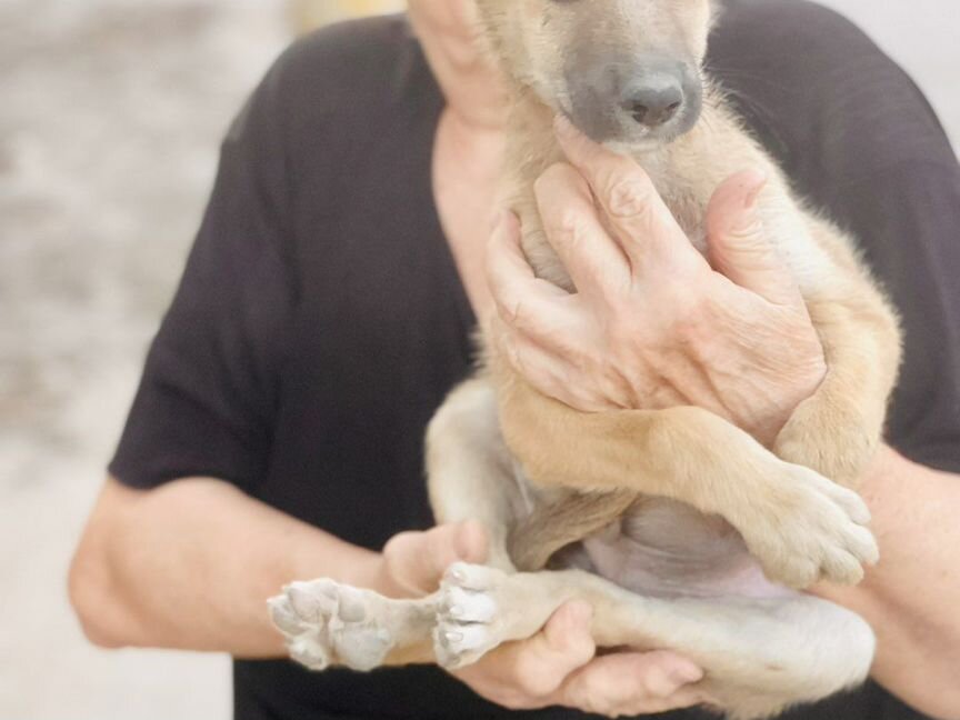 Милый мальчик ищет семью