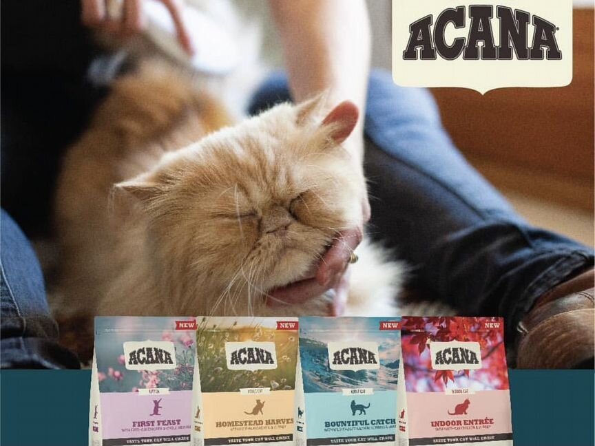 Корм для кошек Acana и Orijen в ассортименте