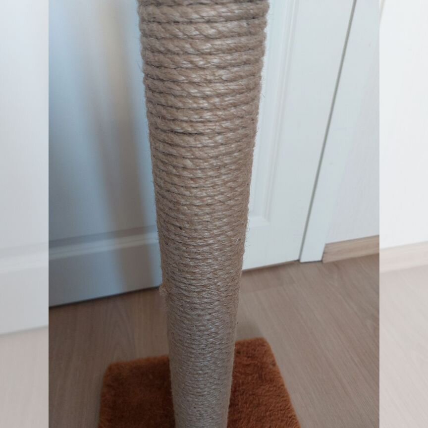 Когтеточка для кошки