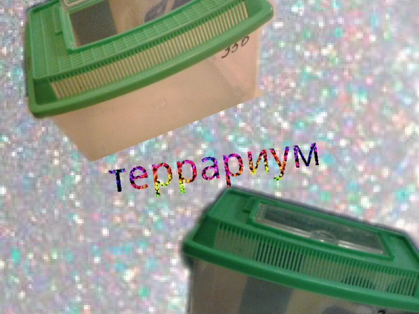 Террариум б/у