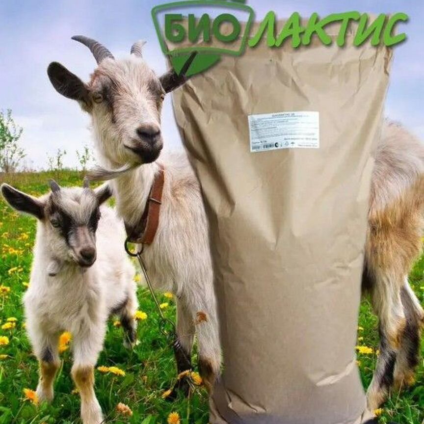 Сухое козье молоко