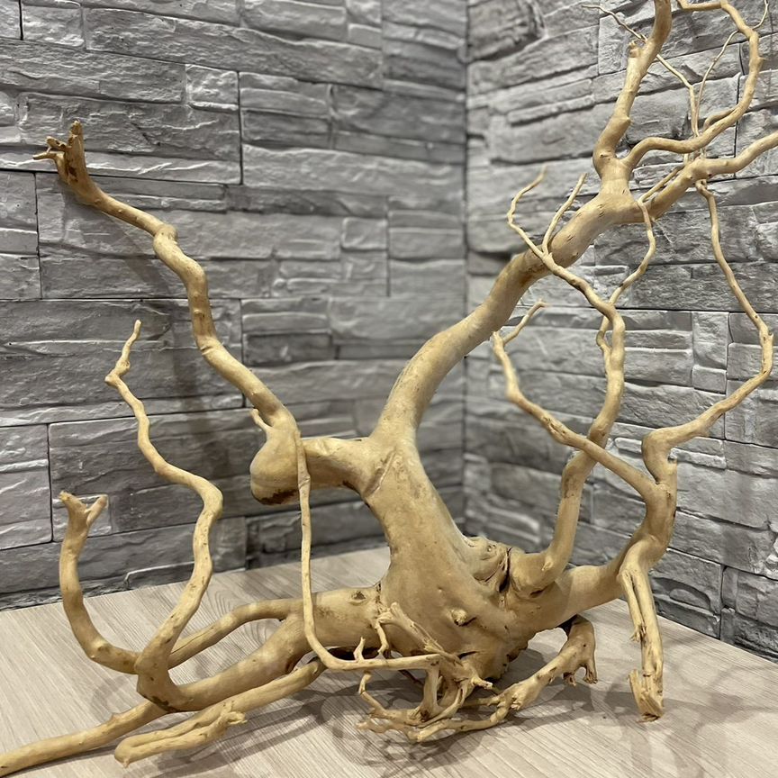 Коряги, аквариум, терариум