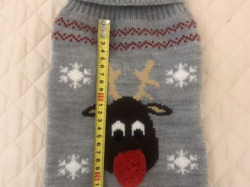 Одежда для животных