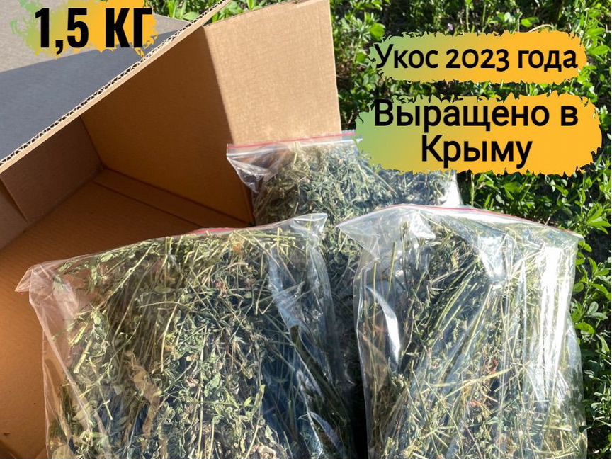 Сено для всех видов грызунов