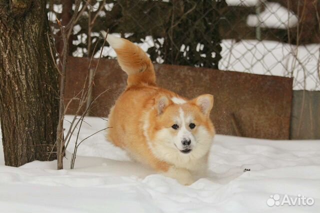 Девчушка-веселушка 6 месяцев