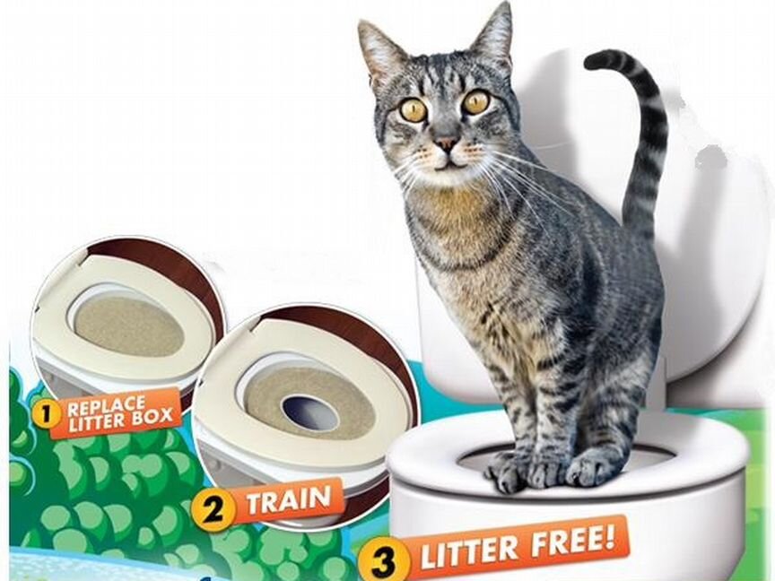 Кошачий туалет