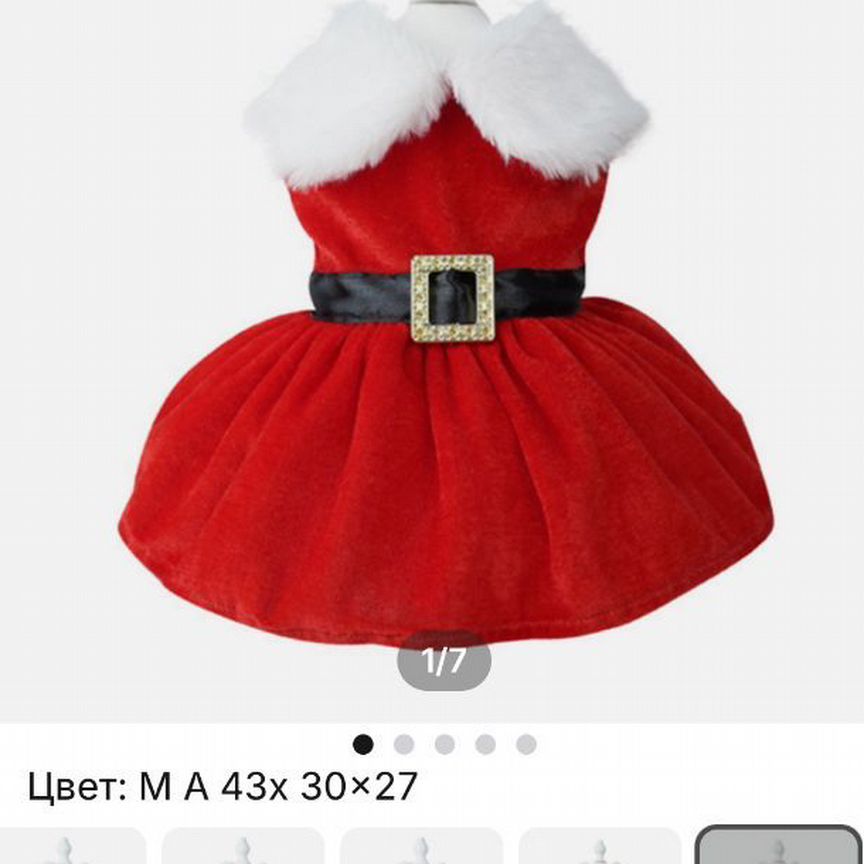 Одежда для маленькой собаки