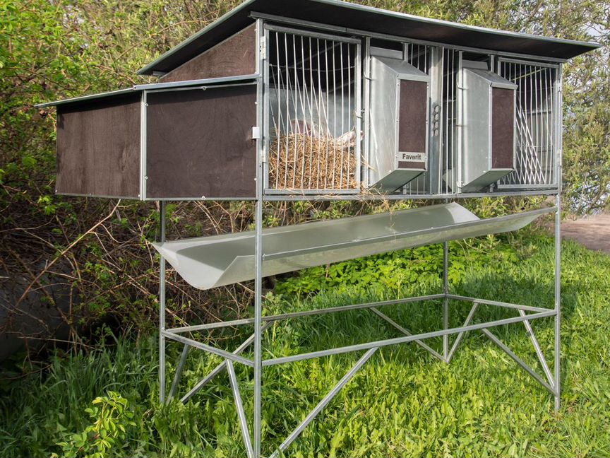 Крольчатник с маточником