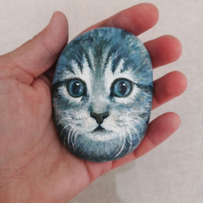 Котик на камешке