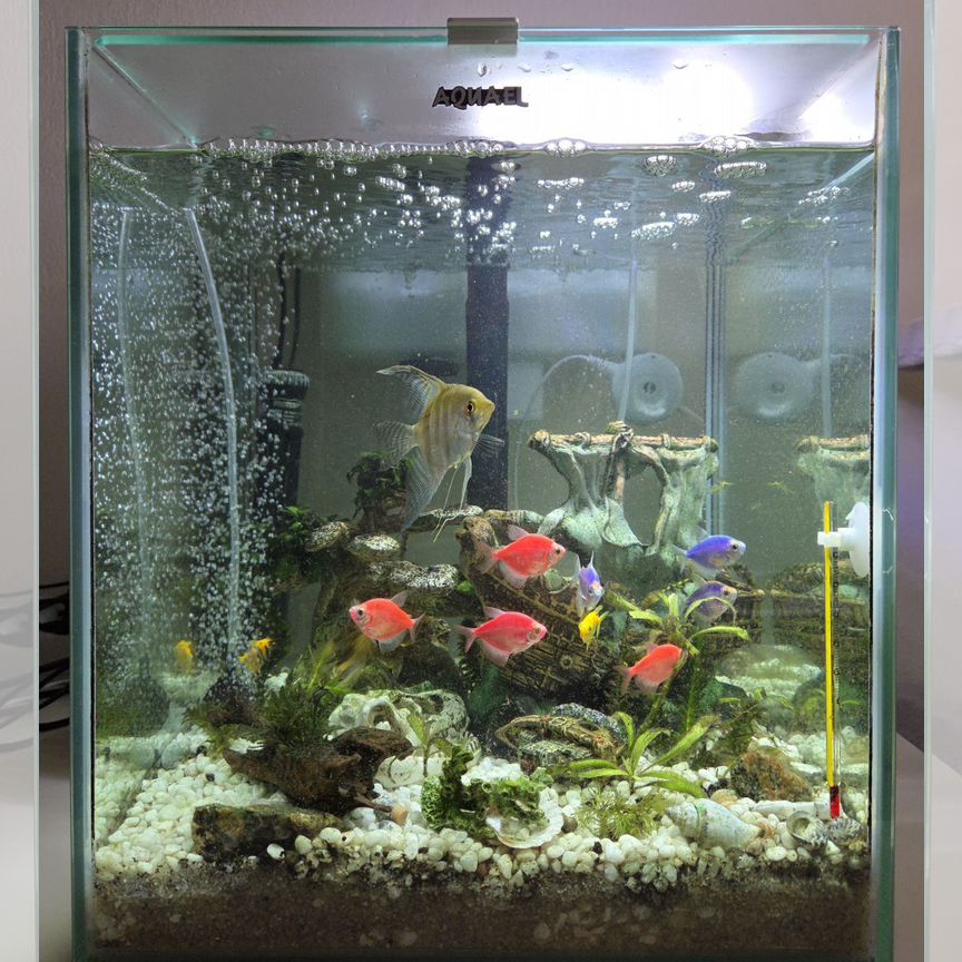 Аквариум aquael fish&shrimp 49 л