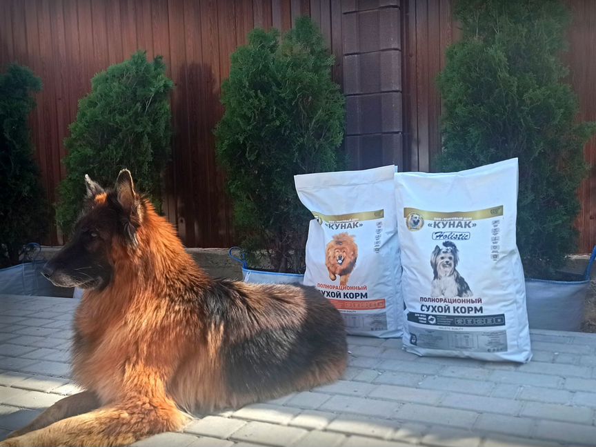 Корм Кунак для собак и кошек