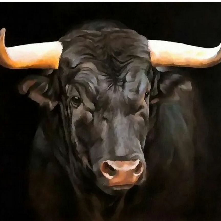 Головы говяжьи