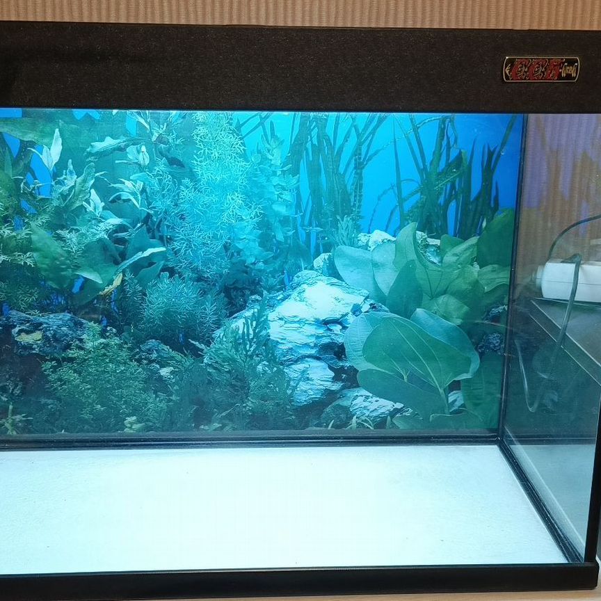 Аквариум ссб-аква 76