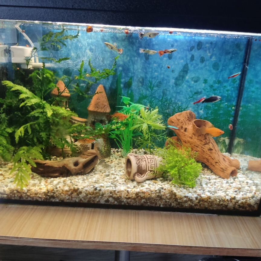 Аквариум 60 литров