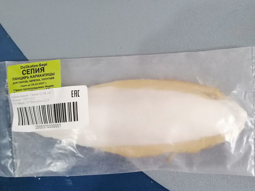 Сепия панцирь каракатицы