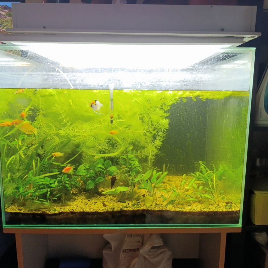 Аквариум с тумбой