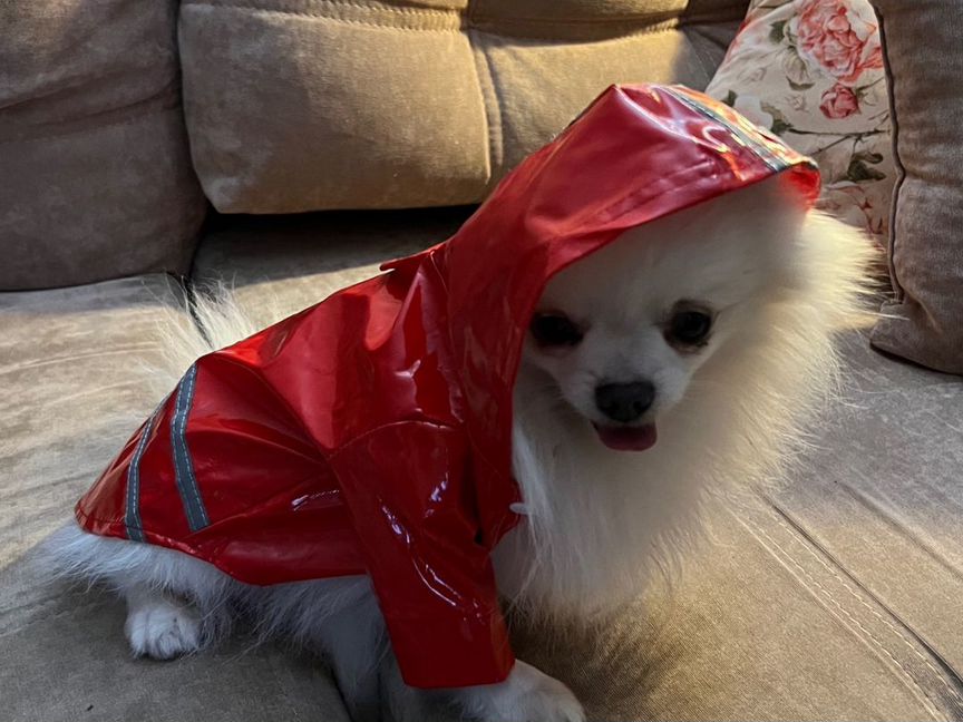 Дождевик куртка для собаки