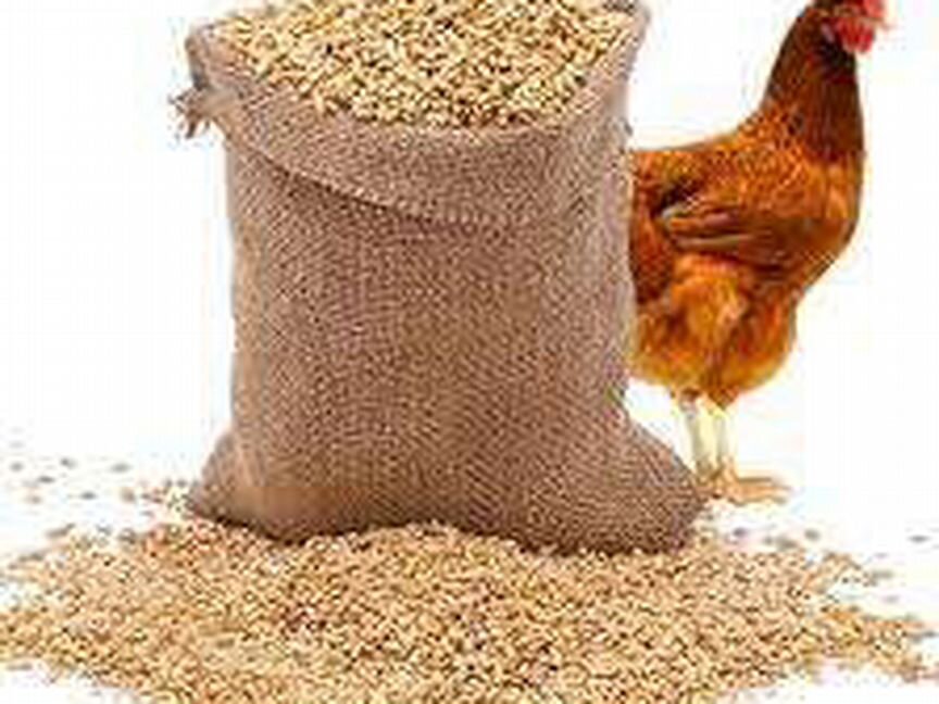 Комбикорм для кур,свиней,крс и т.д