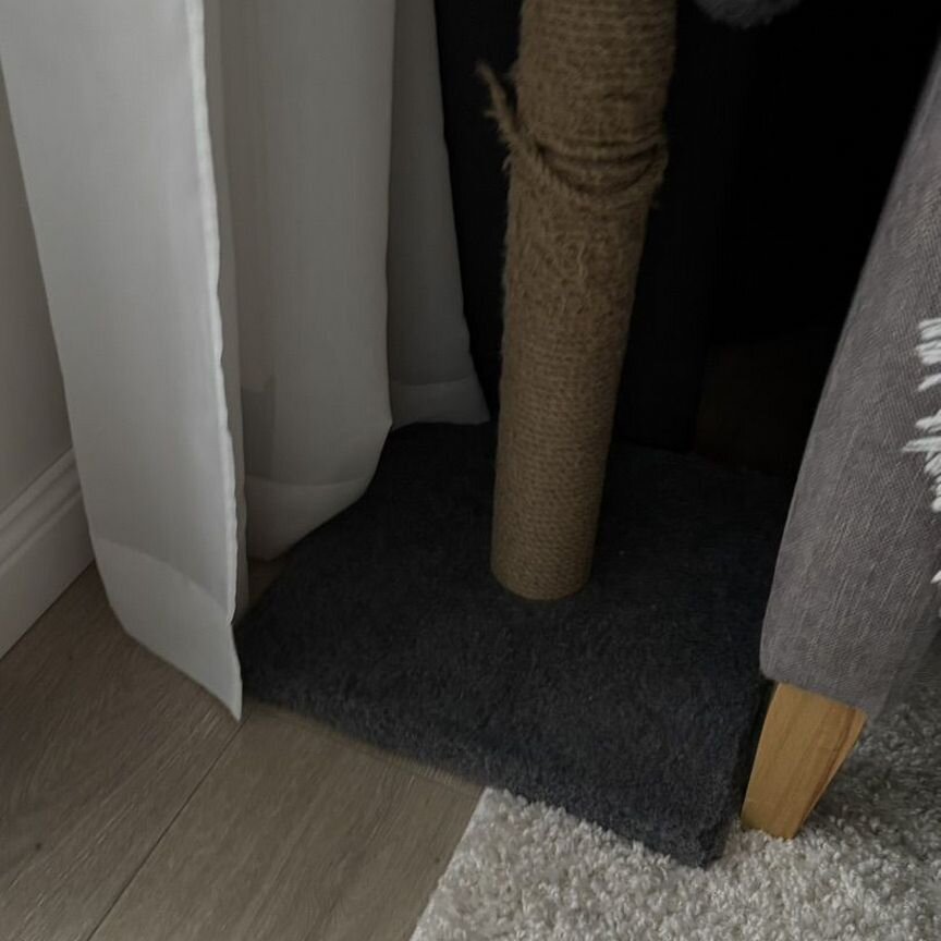 Отдам когтеточку