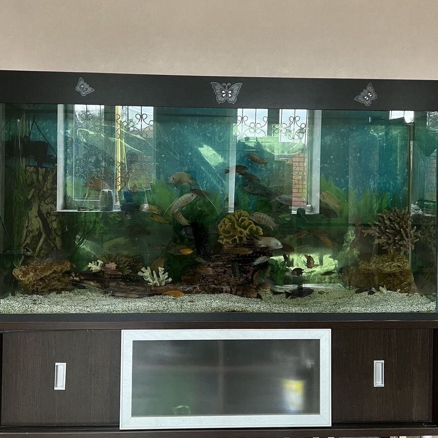 Аквариум 600 литров