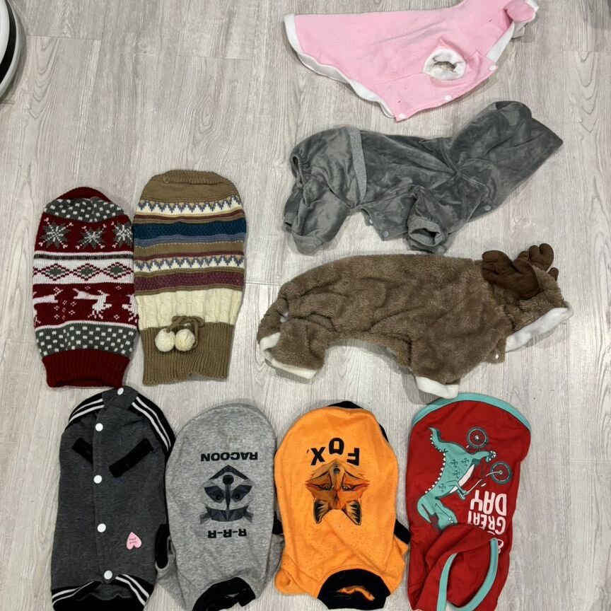 Костюм для собаки