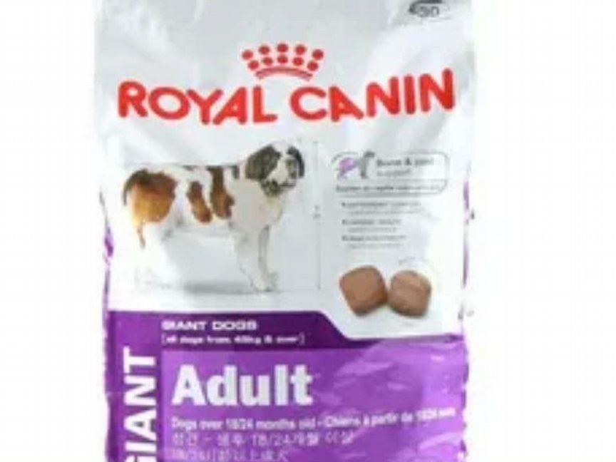 Сухой корм для собак Royal canin