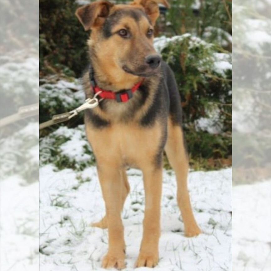 Малышу нужен дом