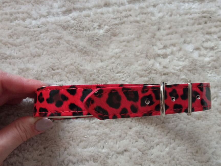 Поводки для собак, ошейники, лоток