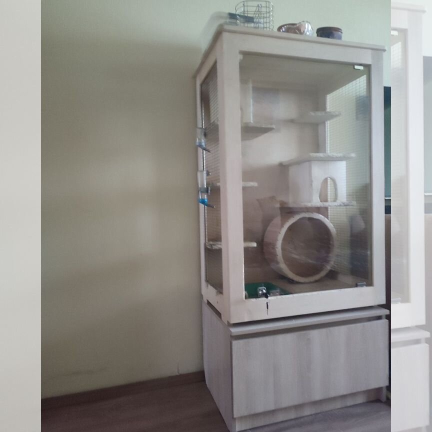 Витрина для шиншилл