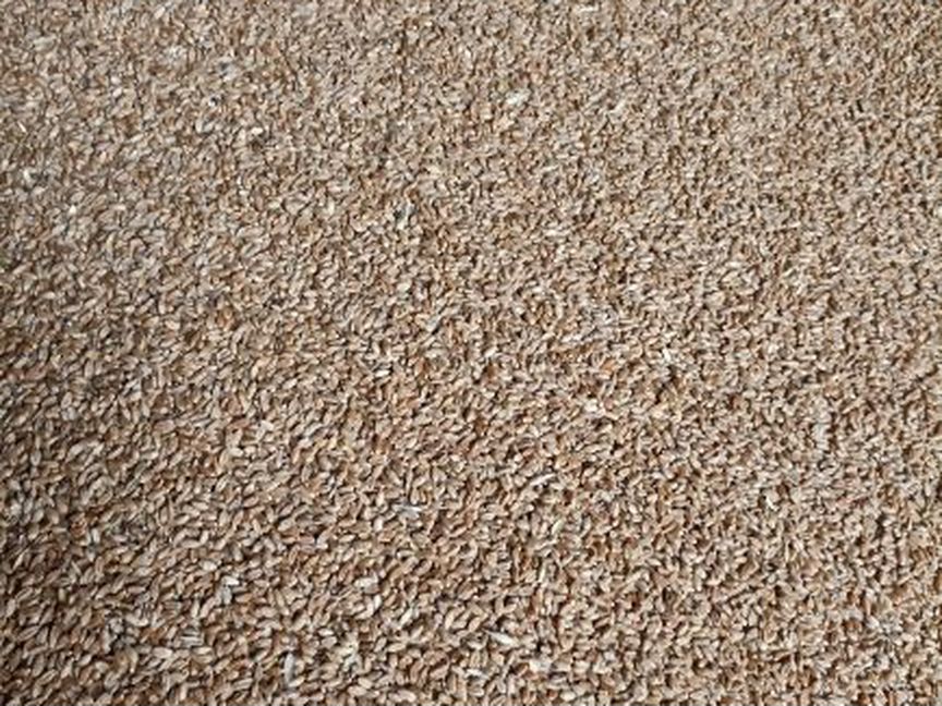 Пшеница, пшеница дробленная, пшеница колотая