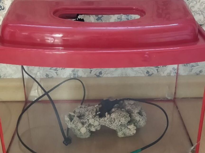 Аквариум террариум 25 л