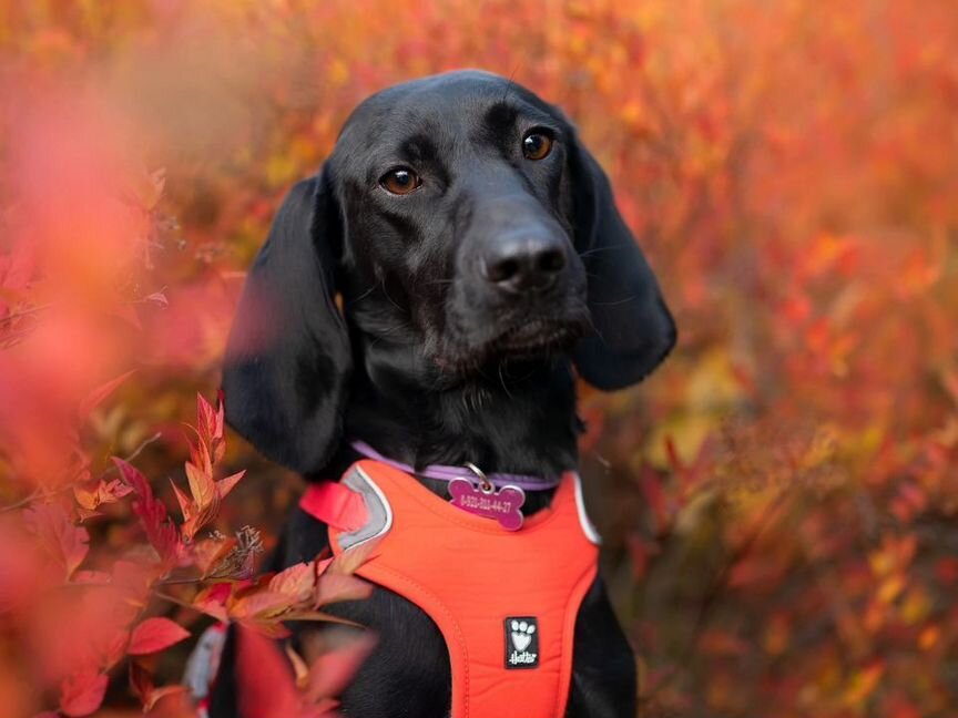 Тайна ждёт хозяина