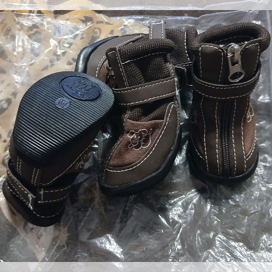 Обувь для собак