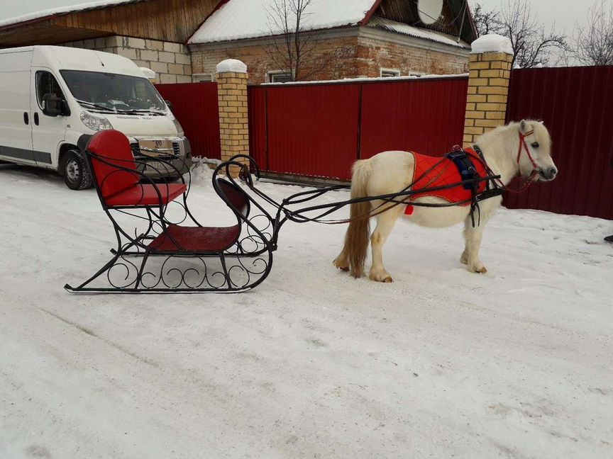 Сани для пони