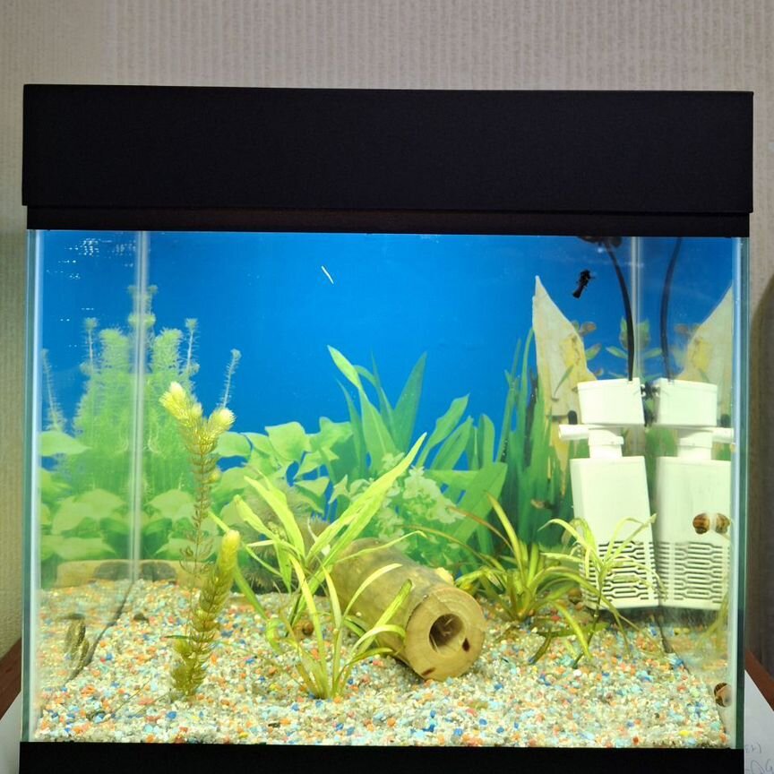 Аквариум с рыбками