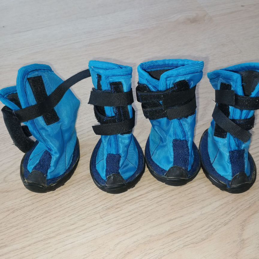 Ботиночки для собак
