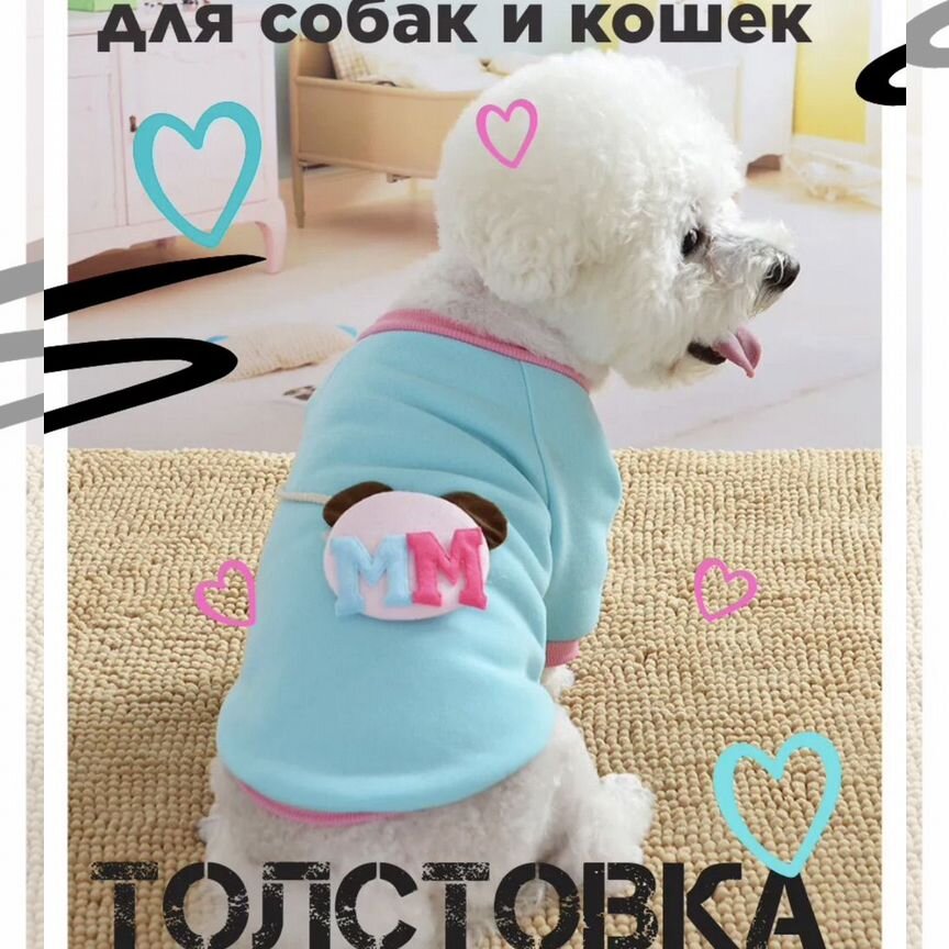 Толстовка для собаки кошек