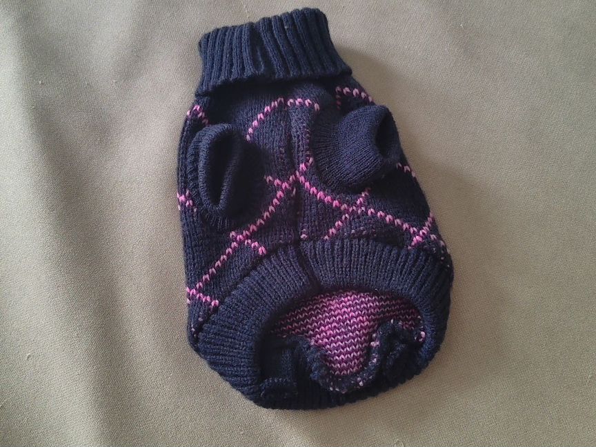 Одежда для кошек