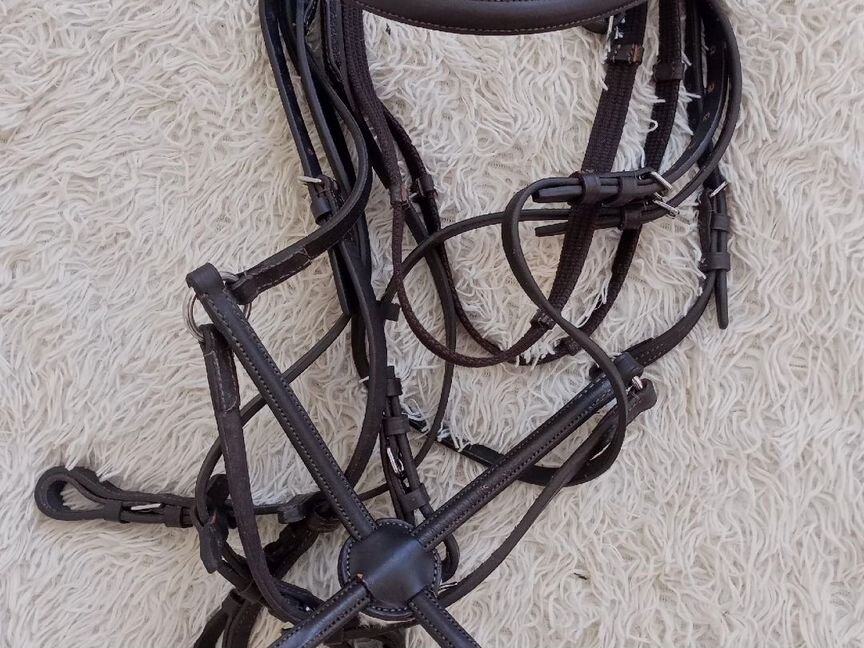 Новая уздечка для лошади