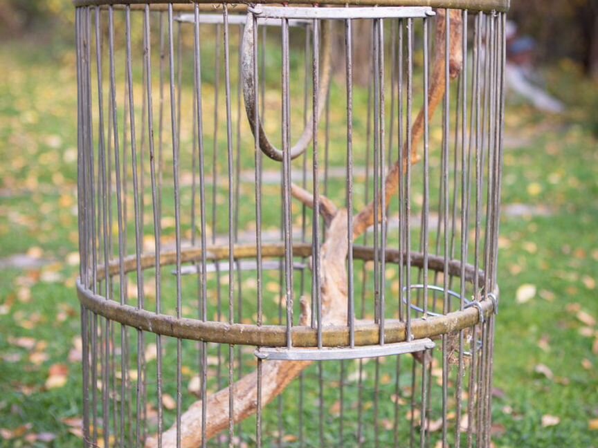 Клетка-вольер продаю