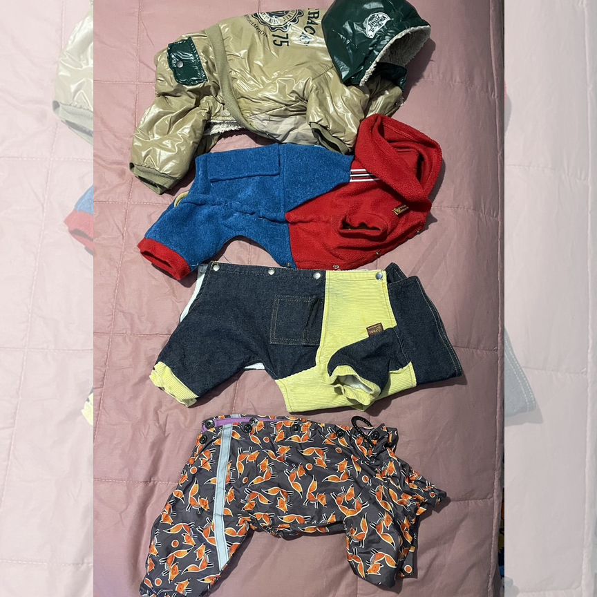 Одежда для собак мелких пород пакетом