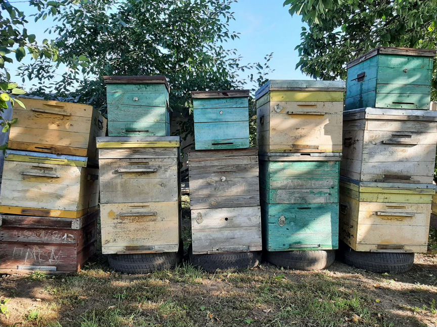 Улей, кормушка для пчел