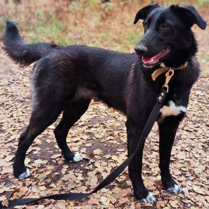 Очаровательная Лилу