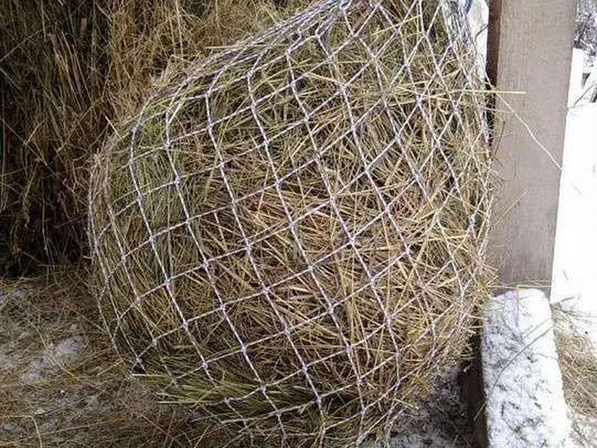 Рептух (медленные кормушки)