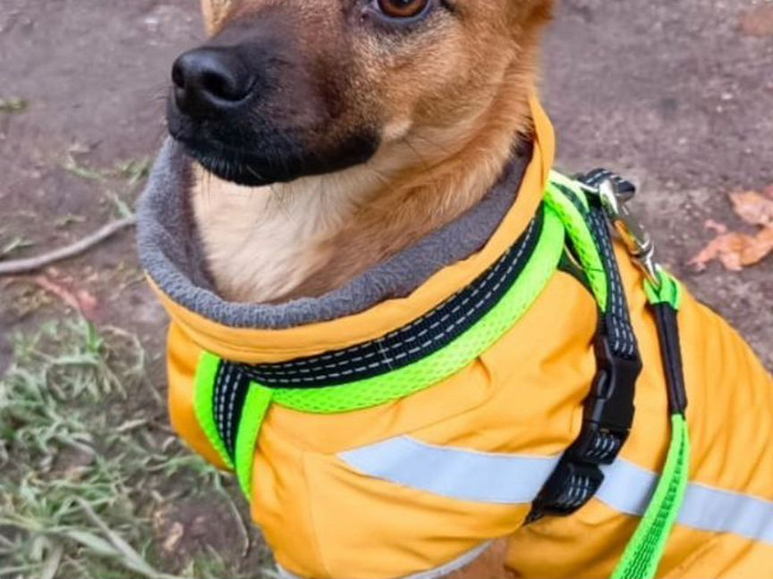 Малышка ждёт своего человека