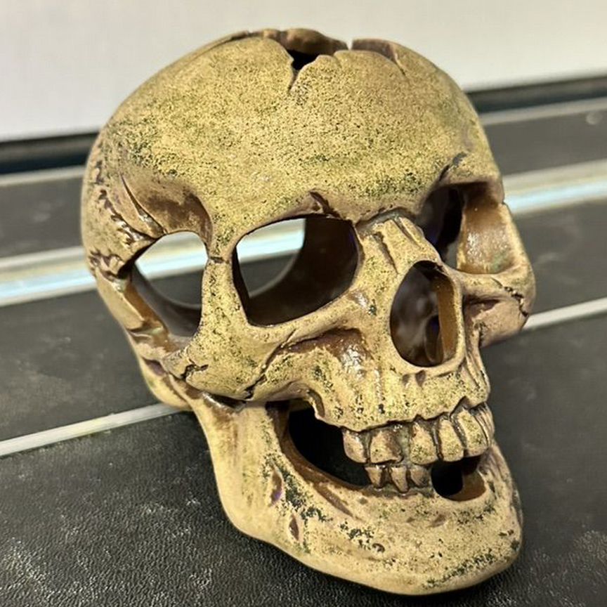 Череп в аквариум