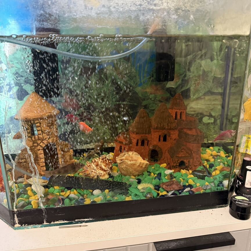 Аквариум с рыбками