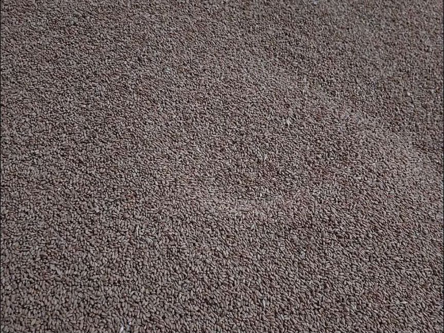 Горох, Фуражный горох корма