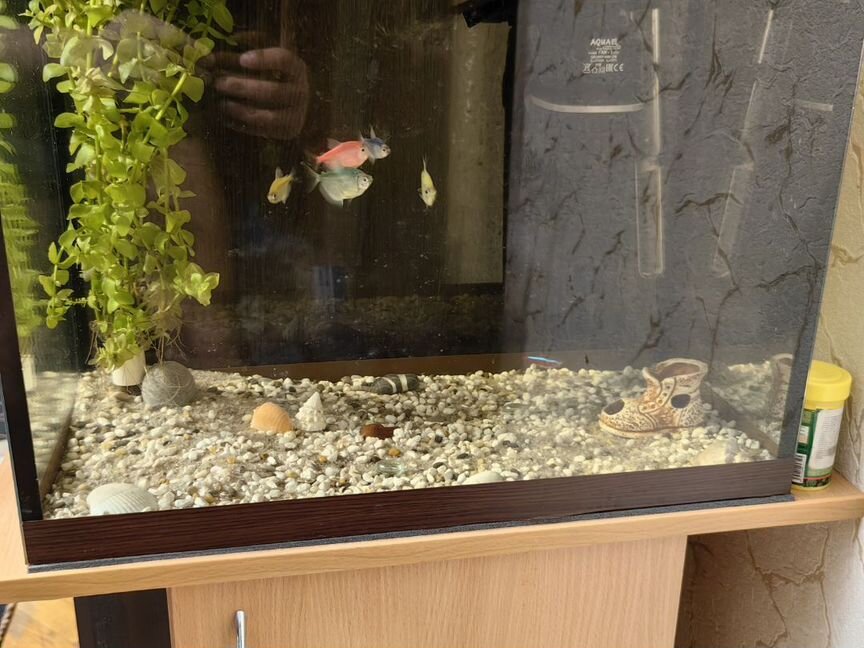 Аквариум с тумбой 50л